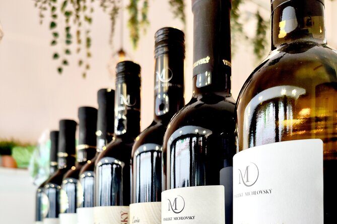 Wine Tasting and History Prague