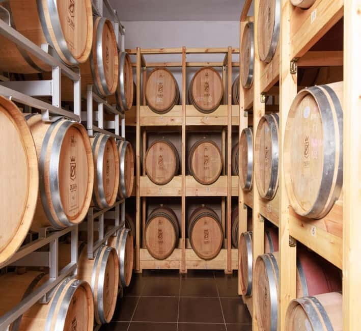 Wine tasting tour, Optional wine yard tour and kayak rides