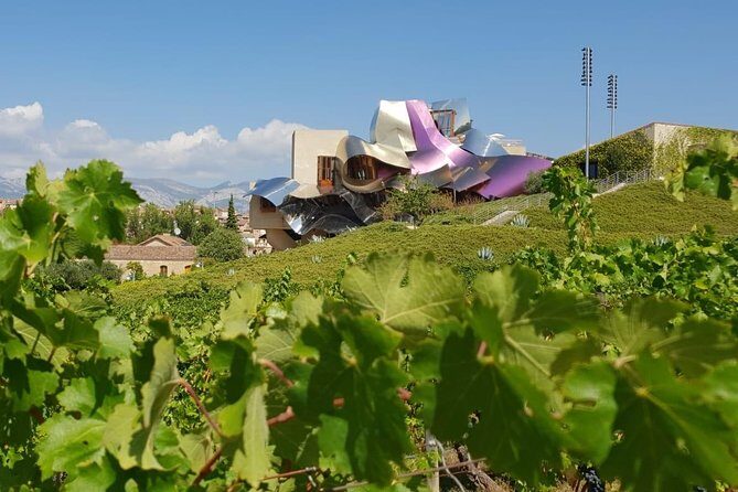 Wine Tour: 2 Wineries From Logroño