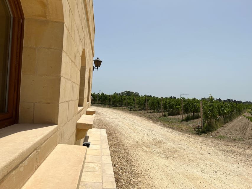 Wine with Maltese Grapes TOUR IN PORTUGUESE