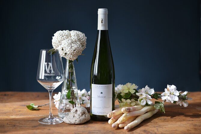 Winemaker's aperitif with Wine Tour and Wine Tasting