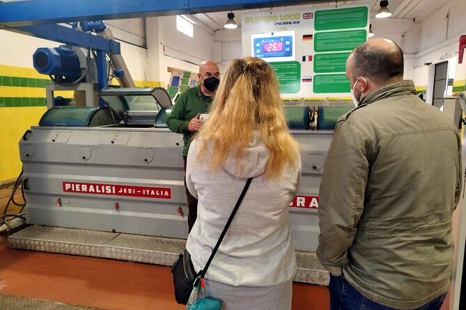 Winery And Oil Mill Tasting Tour - Practical Advice and Considerations