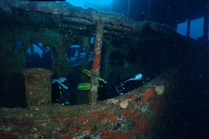 Wreck and Bridge Span Dive for Certified Divers - What You Can Expect from This Tour