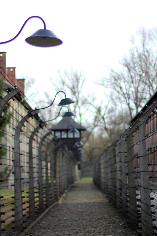 Wroclaw to Auschwitz-Birkenau Private Full-Day Trip by Car