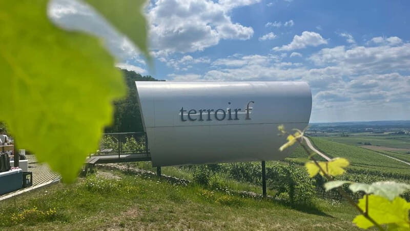 Würzburg: Excursion to the vineyards - enjoyable wine hike & tasting
