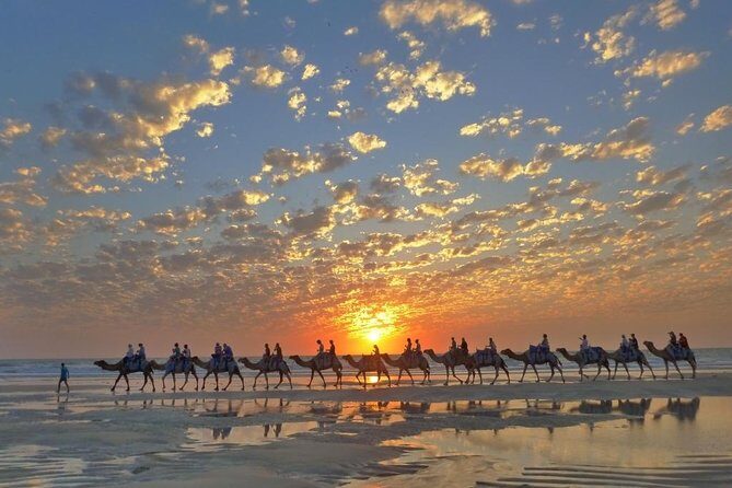 1 Hour Broome Sunset Camel Tour - Learning and Extras