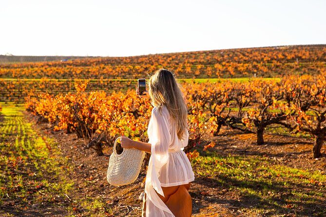 8 Hour Wine Tour and Tasting Experience at McLaren Vale - A Detailed Look at the McLaren Vale Wine Tour