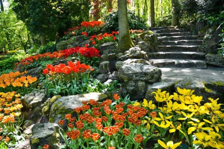 Amsterdam: Keukenhof Gardens Half Day Guided Tour - Exploring Keukenhofs Floral Masterpieces