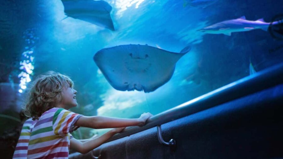 Antalya: Old Town Guided City Tour with Aquarium