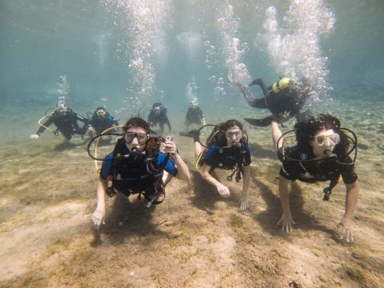 Athens: Try Scuba Diving - Final Thoughts: Who Will Love This Tour?