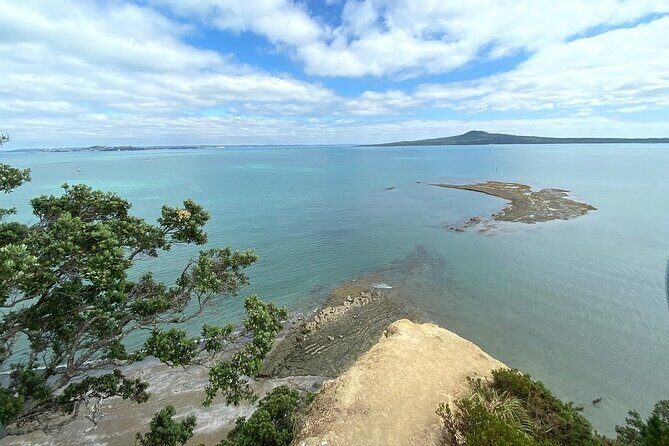 Auckland City and West Coast Full Day Tour - Transportation and Group Size: Comfort and intimacy