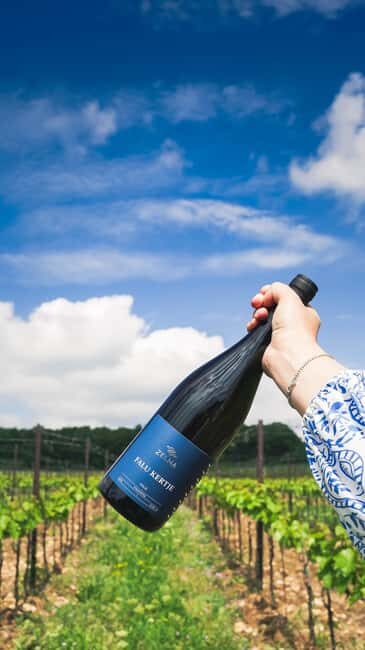 Balaton: Vineyard Tour and Wine Tasting with Zelna - The Farkó-k Vineyard: The Birthplace of Zelna Wines