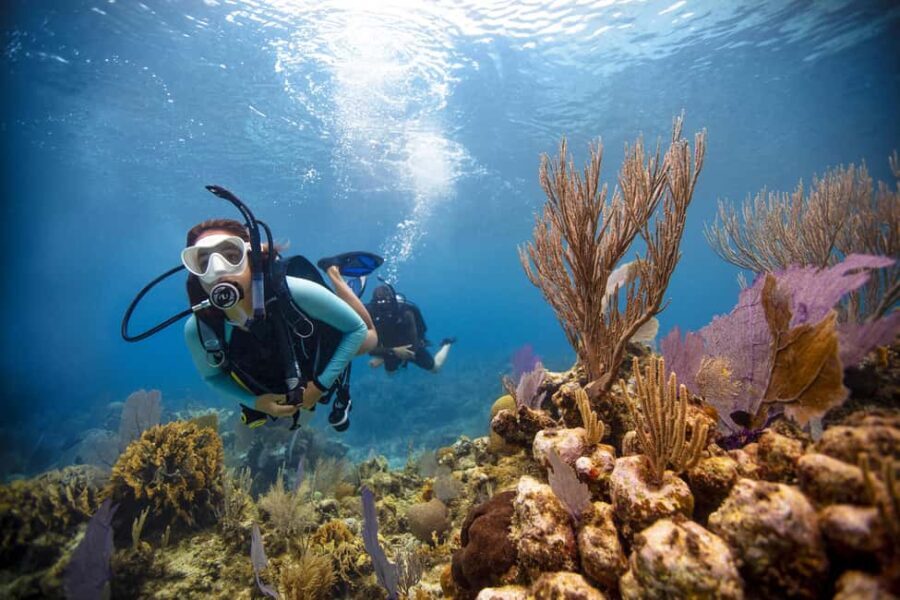 BARCELONA: SCUBA DIVING INITIATION - Dive in and experience underwater adventures - 2 hours