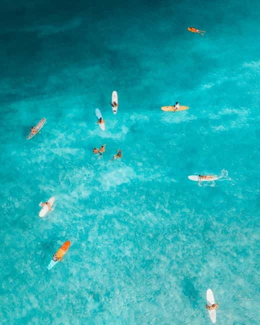 Barcelona: Sunrise or Sunset Paddle Surf with Photos