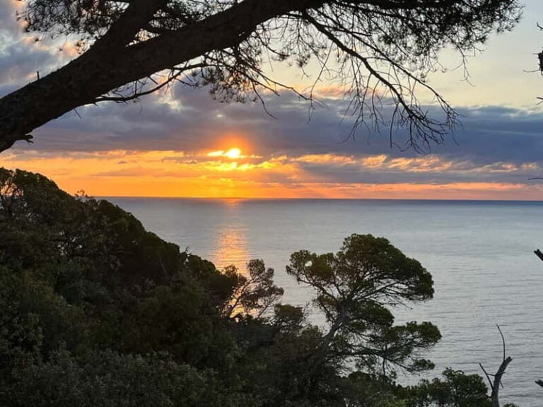Barcelona: Tossa de Mar & Costa Brava very small group - What Sets This Tour Apart?