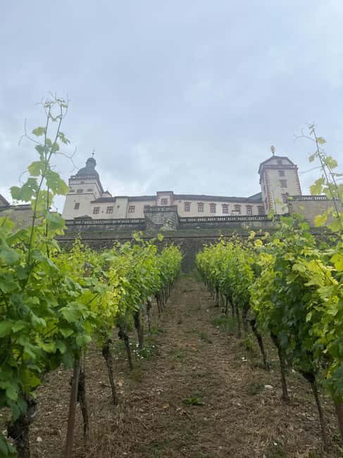 Between vineyards and a royal residence  enjoy Würzburg's wines with a view