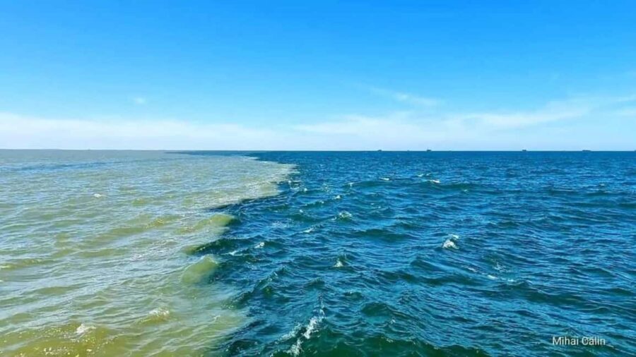 Boat trip to the Danube's mouth at the Black Sea