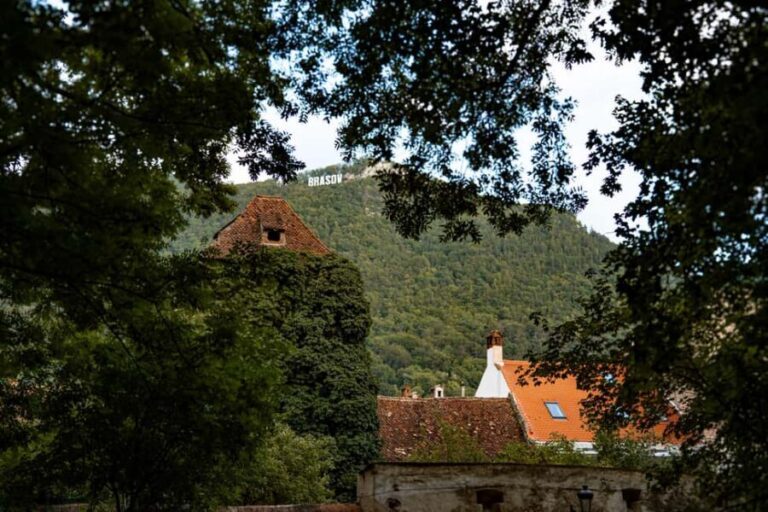 Brasov: Guided Walking Tour with Professional Photos - Who Would Benefit Most from This Tour?