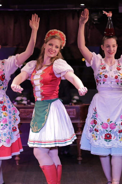 Budapest: Danube Cruise with Folk Dancing and Drinks - Unpacking the Value