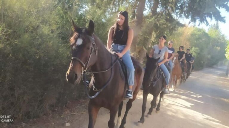 Cagliari: panoramic horseback riding - Who Will Love This Experience?