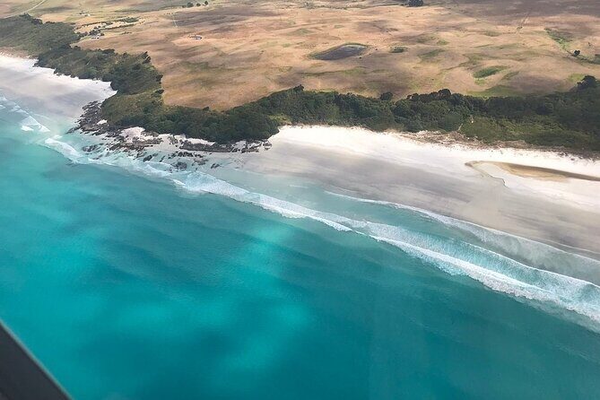 Cape Reinga Half-Day Tour Including Scenic Flight - Practical Aspects and Value