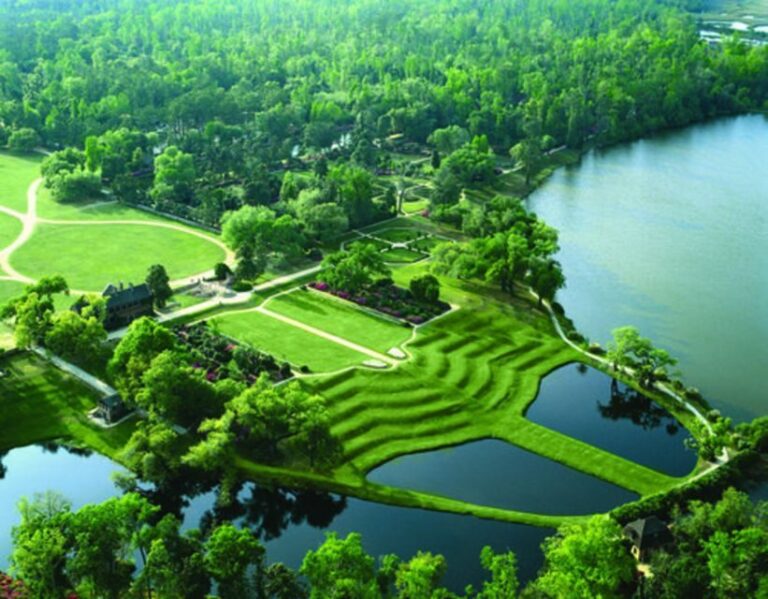 Charleston: Middleton Place Excursion & Low Country Cuisine - Authentic Experiences and Honest Insights