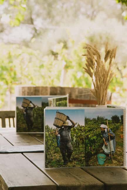 Corfu: E-Bike Tour with Wine Tasting and Winery Visit