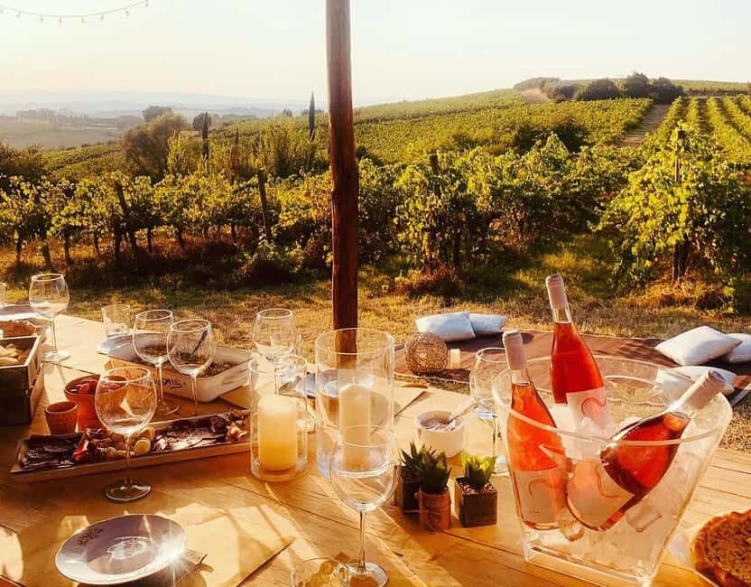 Cortona: Organic wines tasting at Colle Acacia's vineyards