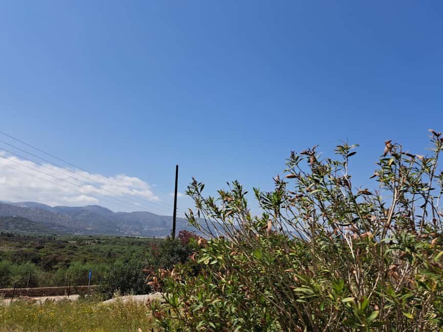 Crete: Malia, Potamos Beach, and Sissi Tuk Tuk Tour