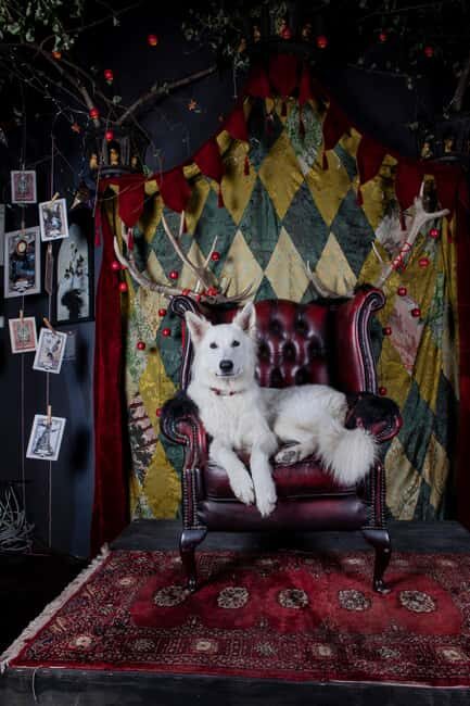 Croatia: Museum of Lost Tales - Why This Experience Offers Value