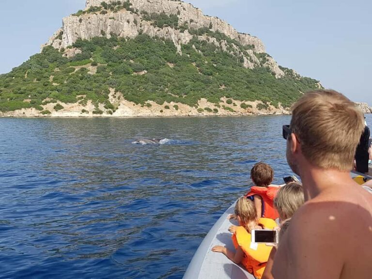 Dolphins: Dolphin Watching Tour and Capo Figari by Raft - Real Travelers’ Perspectives
