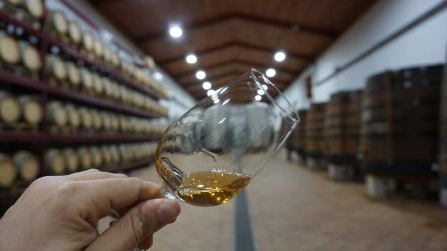 Douro: Quinta Levandeira do Roncão Tour & Wine Tasting