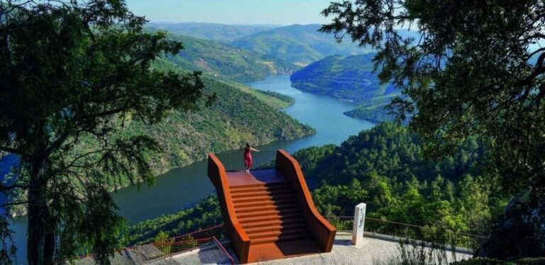 Douro Valley: Cruise & vineyard discovery from Porto or Aveiro - What To Expect on the Douro Valley Tour