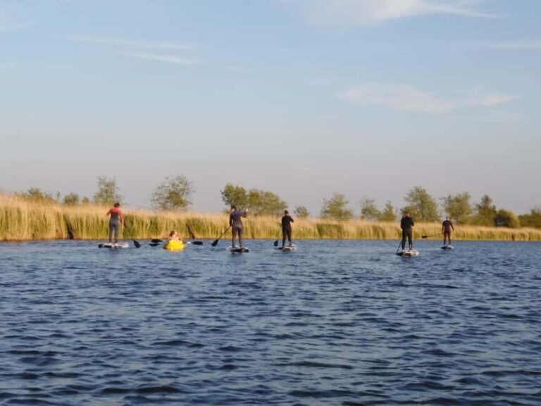 Early Bird Standup Paddletour to Fishing Harbours - Who Will Love This Experience?