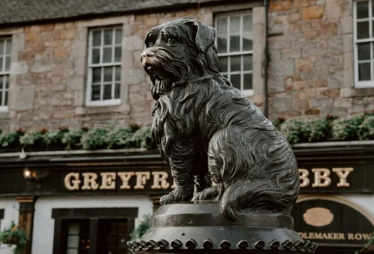 Edinburgh Old Town History Walking Tour - Value and Practicalities