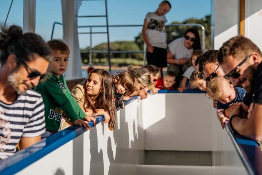 Faana: Glass Boat Tour of Brijuni National Park