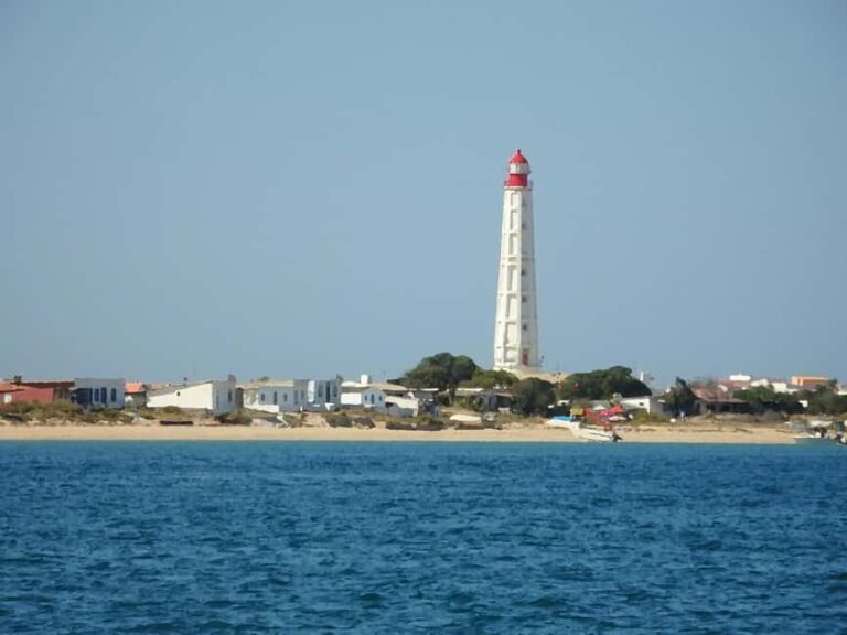 Faro: Ria Formosa - The Grand 3 Islands Boat Tour - Who Is This Tour Best For?
