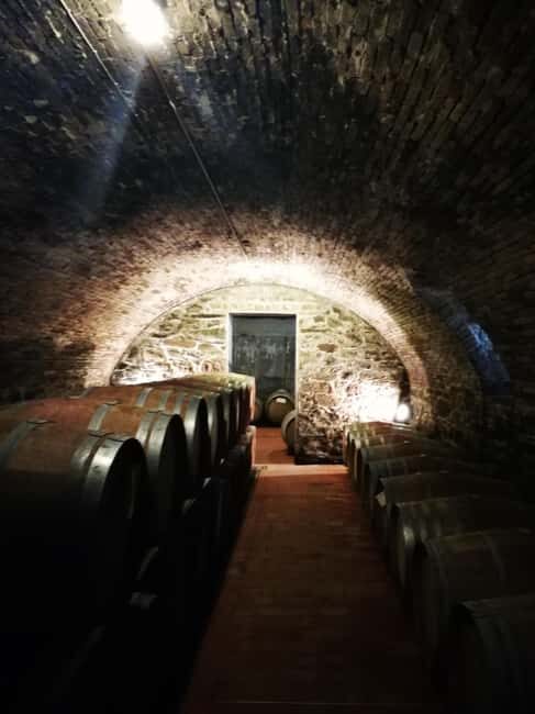 Florence like a local wine teasting - The Scenic Highlights and Hidden Corners