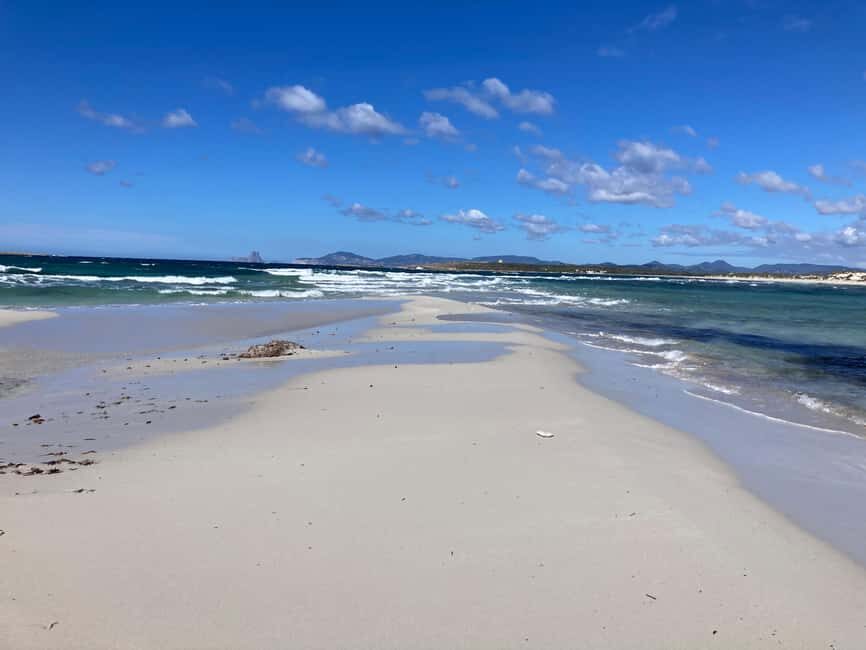 Formentera: 2-hour snorkel with marine biologist by boat