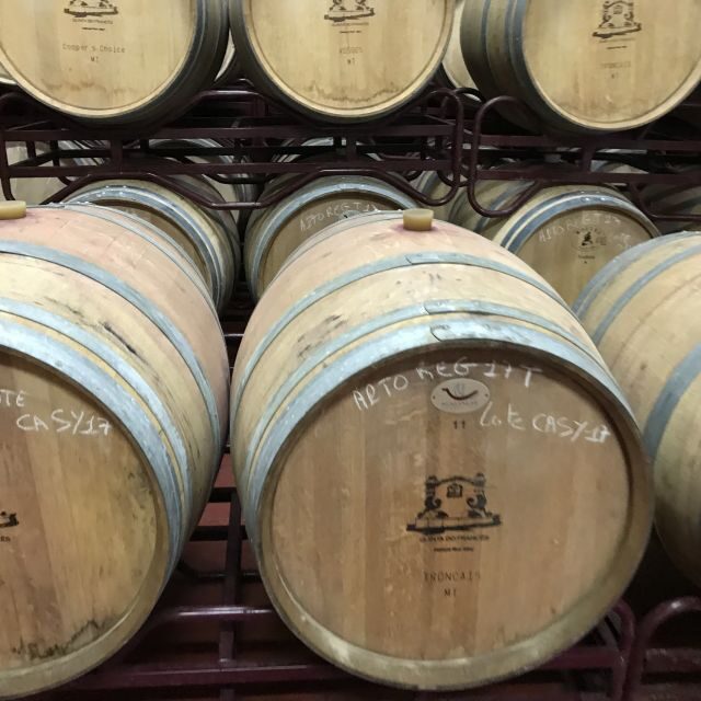 From Albufeira: Full-Day Wine Tasting Tour with a Guide