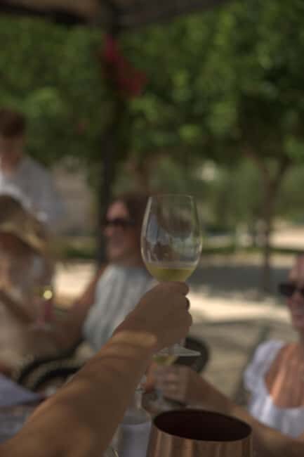 From Alicante: 2 Premium Wine Tastings and Tapas - The Wineries: Family-Run and Passionate