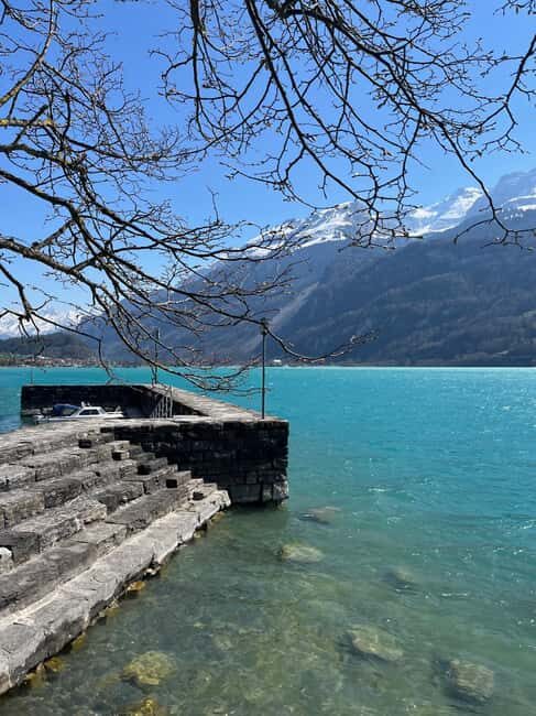 From Basel: Alps, Waterfalls and Lakes Private Car Tour - Value and Practicalities