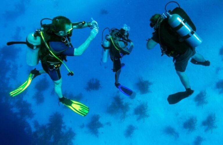 From Bodrum: Scuba Diving in the Aegean Sea - The Experience: What You Can Expect