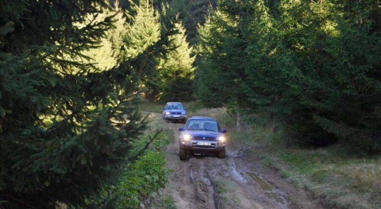 From Bucharest: Off-Road in the Carpathian Mountains - Authentic Feedback & Real-World Insights