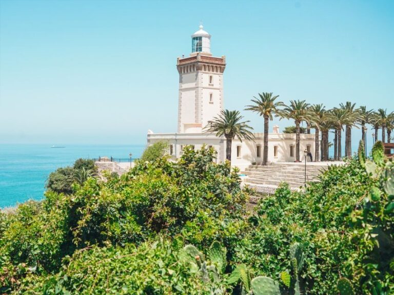 From Costa del Sol: Discover Tangier on a Guided Day Trip - The Itinerary Breakdown