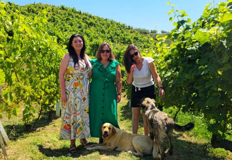From Durrës/Golem: Vineyards, Wine Food Tasting & Boat Tour