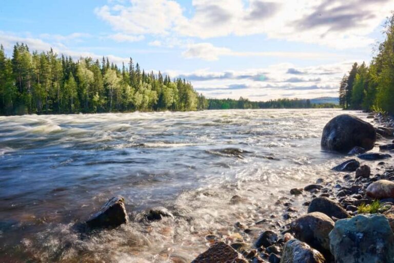 From Jokkmokk: The Great Rapids National Park - What Makes This Tour Stand Out?