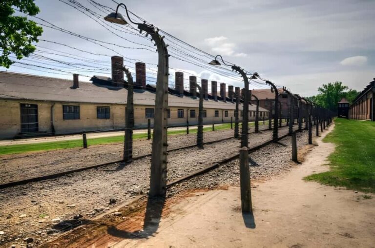 From Krakow: Auschwitz-Birkenau Full-Day Guided Tour - The Sum Up: Who Will Get the Most From This Tour?