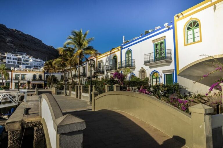 From Las Palmas: Fataga, Aloe Vera Farm, and Puerto de Mogán Market - The Sum Up: Who Will Love This Tour?