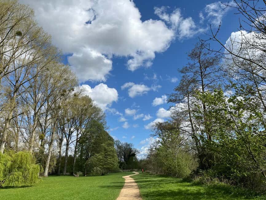 From London: Private Guided Walking & Fine Dining Tour